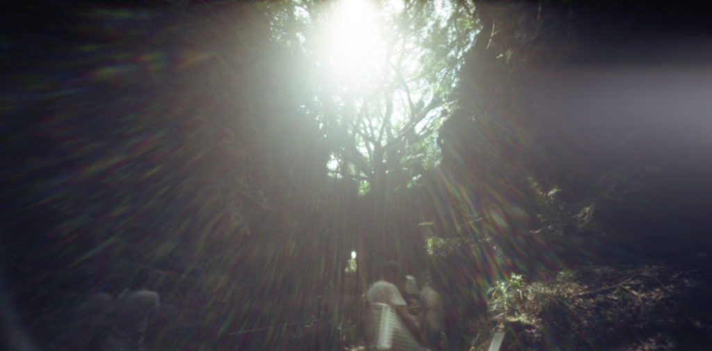 Gangala | Eikoh Tanaka